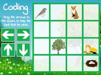 Algorithm - Bird's nest - Wixie