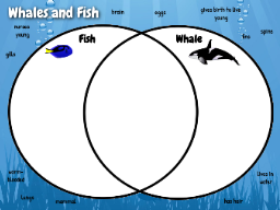 Whales and Fish - Wixie
