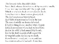 Shakespeare - Sonnet 99 - Wixie