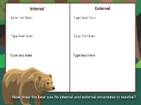 Animal and Plant Structures - Wixie