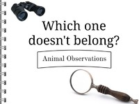 Doesn't Belong - Animal Observations - Wixie