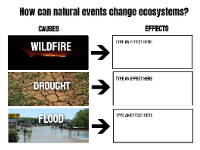 Cause and Effect to Ecosystems - Wixie