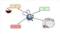 Cluster Wixie