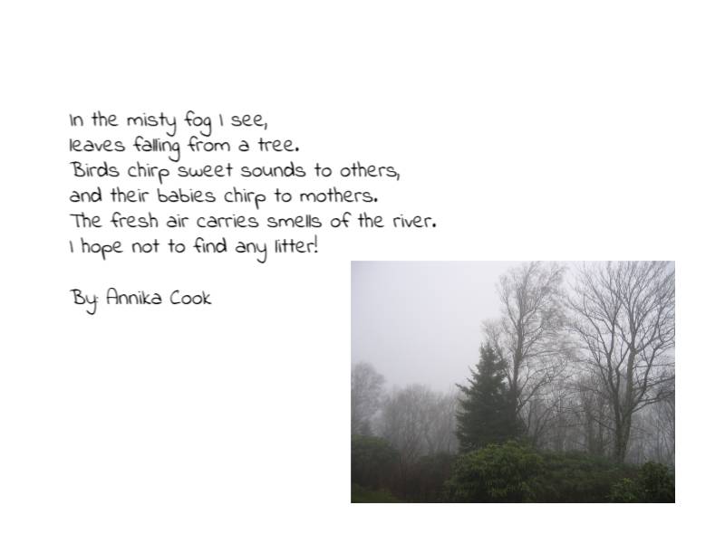 Reading Group Poem - Wixie