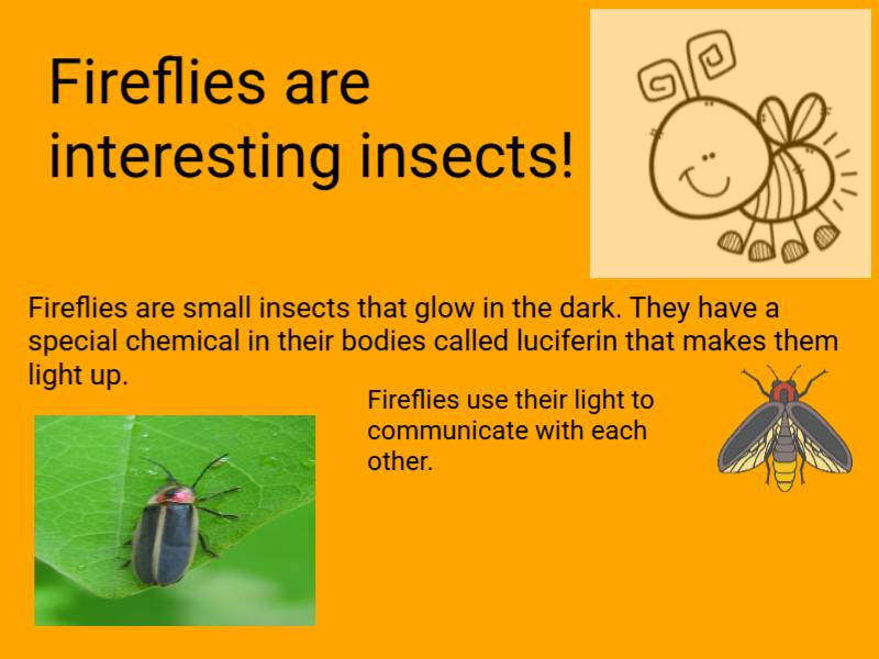 Fireflies - Wixie