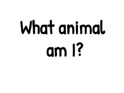 Animal Riddle - 4 page - Wixie