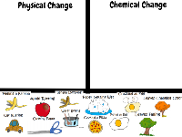 Physical & Chemical Change Sort - Copy - Wixie