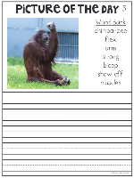 Wacky Wed March 16 - Wixie