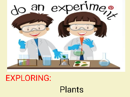 Science Experiment: Investigating Plants - Wixie