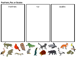 Feathers, Fur, or Scales - Wixie