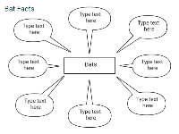 Bat Facts - Wixie