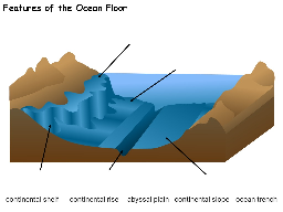 Ocean Floor - Wixie